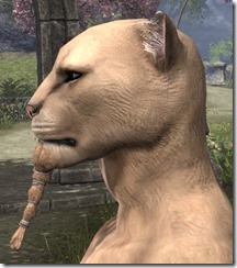 ESO Fashion | Long Knotted Beard (Elder Scrolls Online)
