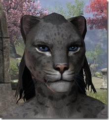 ESO Fashion | Long Matted Mane (Elder Scrolls Online)