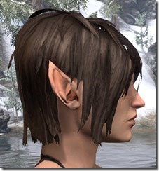 ESO Fashion | Long Wild Locks (Elder Scrolls Online)