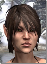 ESO Fashion | Long Wild Locks (Elder Scrolls Online)