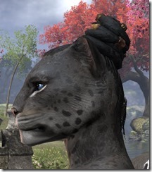 ESO Fashion | Sweetroll Dreads (Elder Scrolls Online)