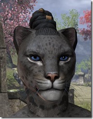 ESO Fashion | Sweetroll Dreads (Elder Scrolls Online)