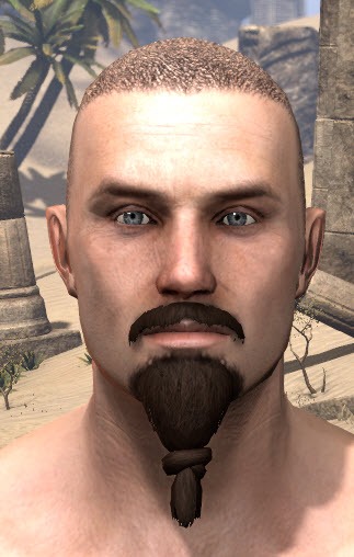 ESO Fashion | Warrior’s Beard Knot (Elder Scrolls Online)