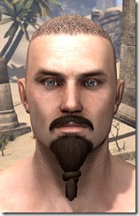 ESO Fashion | Warrior’s Beard Knot (Elder Scrolls Online)