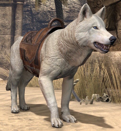 ESO Fashion | Ice Wolf Mount (Elder Scrolls Online)