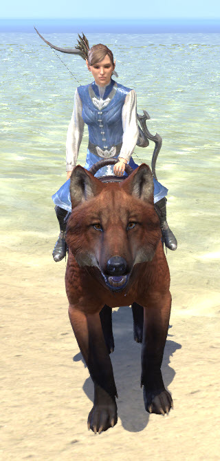 ESO Fashion | Red Pit Wolf (Elder Scrolls Online)