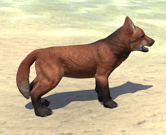 ESO Fashion | Red Pit Wolf Pup (Elder Scrolls Online)