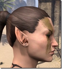 ESO Fashion | Brown Vertical Eye Smears (Elder Scrolls Online)