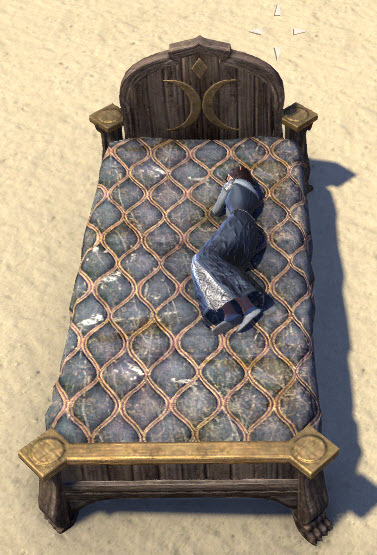 ESO Fashion | Khajiit Bed, Faded (Elder Scrolls Online)