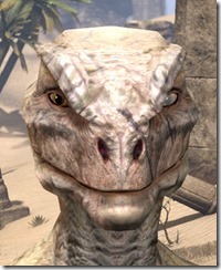 ESO Fashion | Left Diagonal Snout Scar (Elder Scrolls Online)