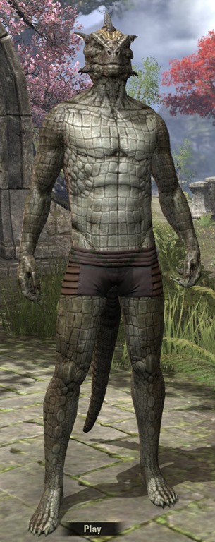 ESO Fashion | Light Gray Lizard Scales (Elder Scrolls Online)