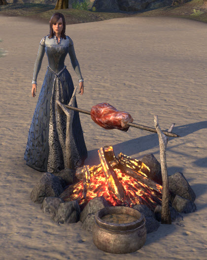 ESO Fashion | Provisioning Station (Elder Scrolls Online)