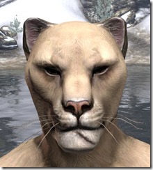 ESO Fashion | Right Cheek-Chin Diagonal Scar (Elder Scrolls Online)