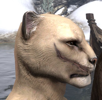 ESO Fashion | Right Cheek-Chin Diagonal Scar (Elder Scrolls Online)