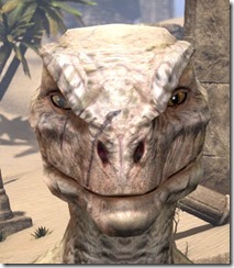 ESO Fashion | Right Diagonal Snout Scar (Elder Scrolls Online)