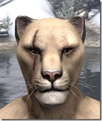 ESO Fashion | Scarred Right Eye (Elder Scrolls Online)