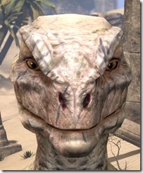 ESO Fashion | Small Diagonal Snout Scar (Elder Scrolls Online)