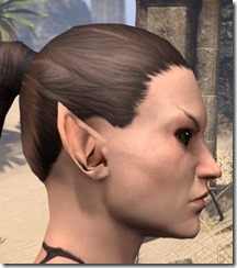 ESO Fashion | Subtle Natural Makeup (Elder Scrolls Online)