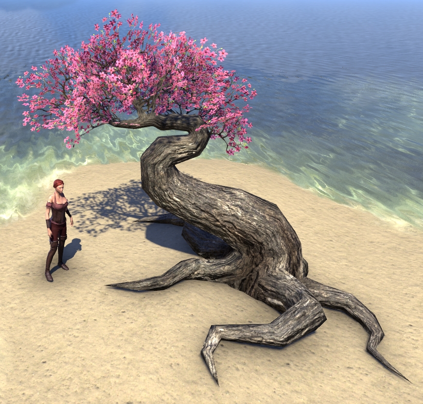 ESO Fashion | Tree, Squat Pink Cherry (Elder Scrolls Online)