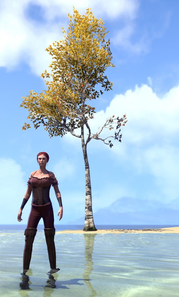 ESO Fashion | Tree, Towering Autumn Birch (Elder Scrolls Online)