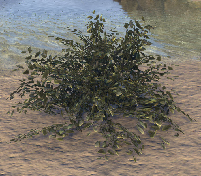 ESO Fashion | Bush, Dense Forest (Elder Scrolls Online)