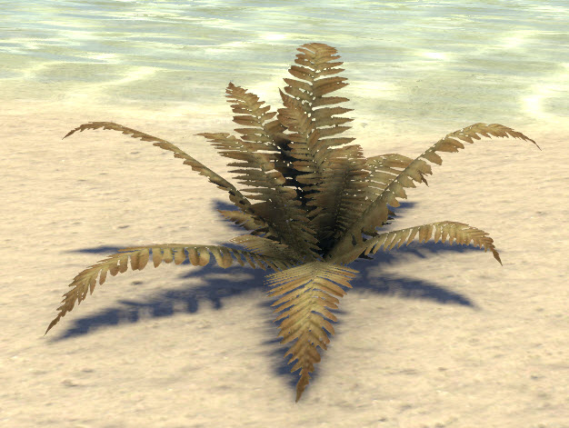 ESO Fashion | Fern, Withering (Elder Scrolls Online)