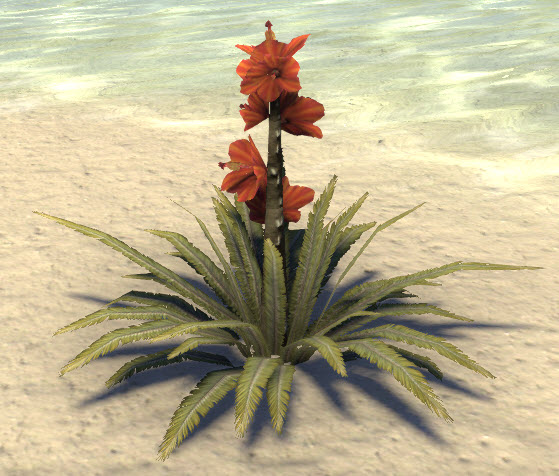 ESO Fashion | Flower, Healthy Hibiscus (Elder Scrolls Online)