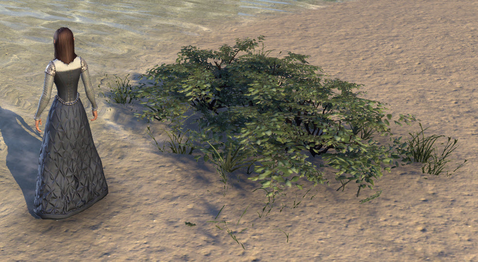 ESO Fashion | Plants, Dense Underbrush (Elder Scrolls Online)