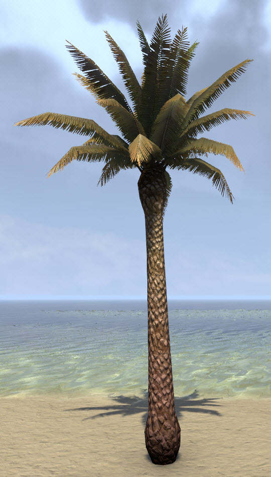 ESO Fashion | Sapling, Thin Palm (Elder Scrolls Online)