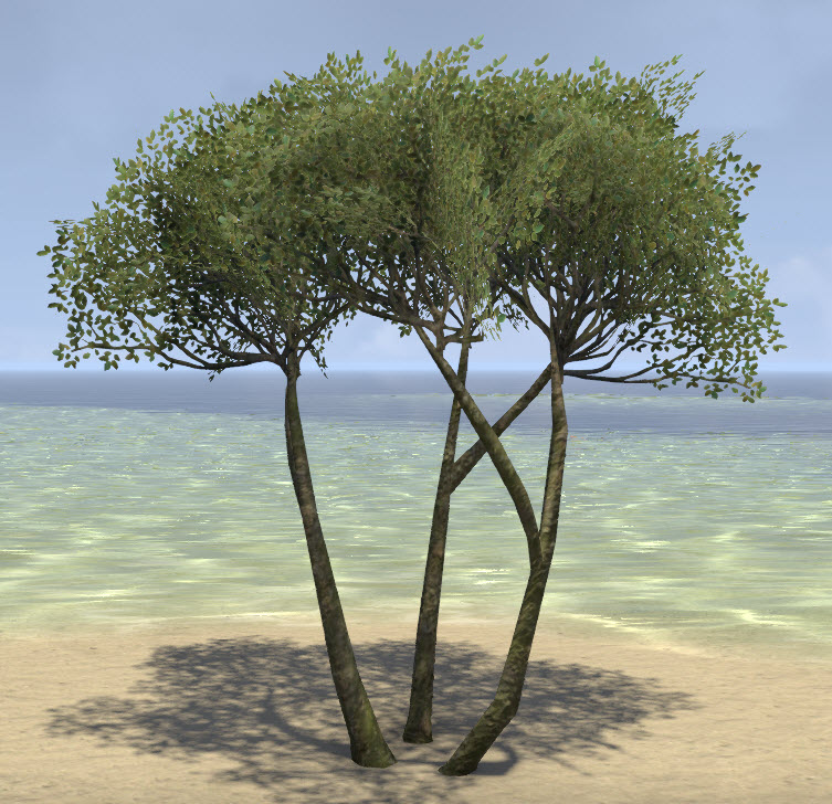 ESO Fashion | Saplings, Young Desert (Elder Scrolls Online)