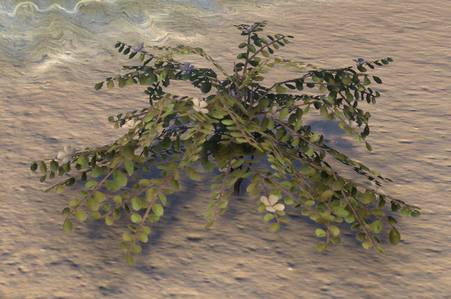 ESO Fashion | Shrub, Delicate Forest (Elder Scrolls Online)