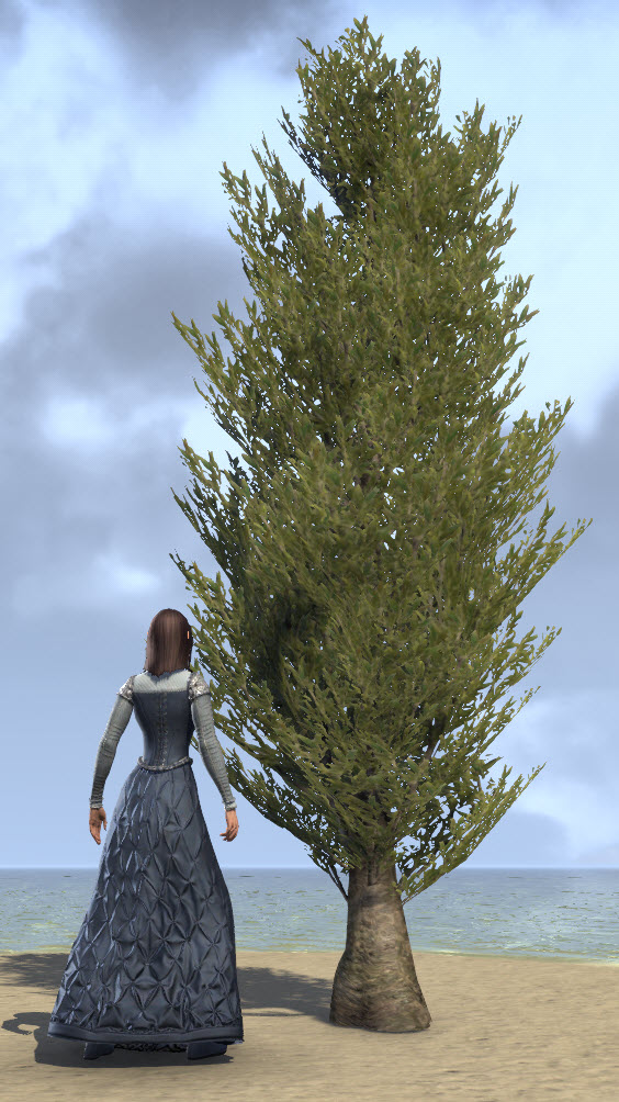 ESO Fashion | Topiary, Lush Evergreen (Elder Scrolls Online)