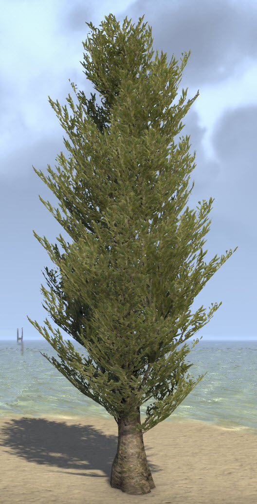 ESO Fashion | Topiary, Lush Evergreen (Elder Scrolls Online)