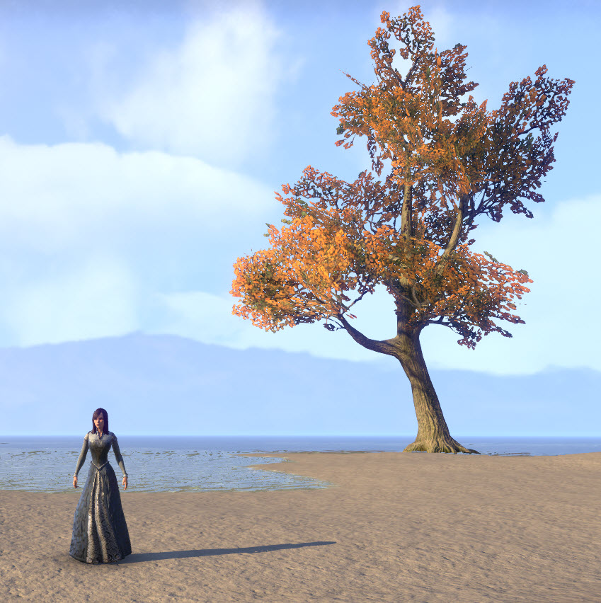 ESO Fashion | Tree, Autumn Maple (Elder Scrolls Online)