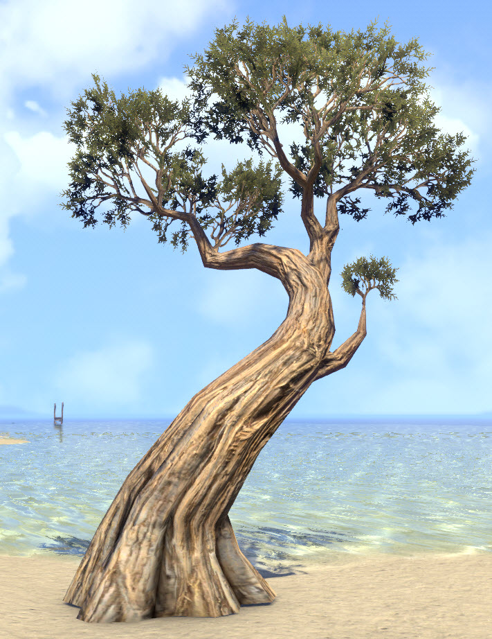 ESO Fashion | Tree, Hardened Juniper (Elder Scrolls Online)