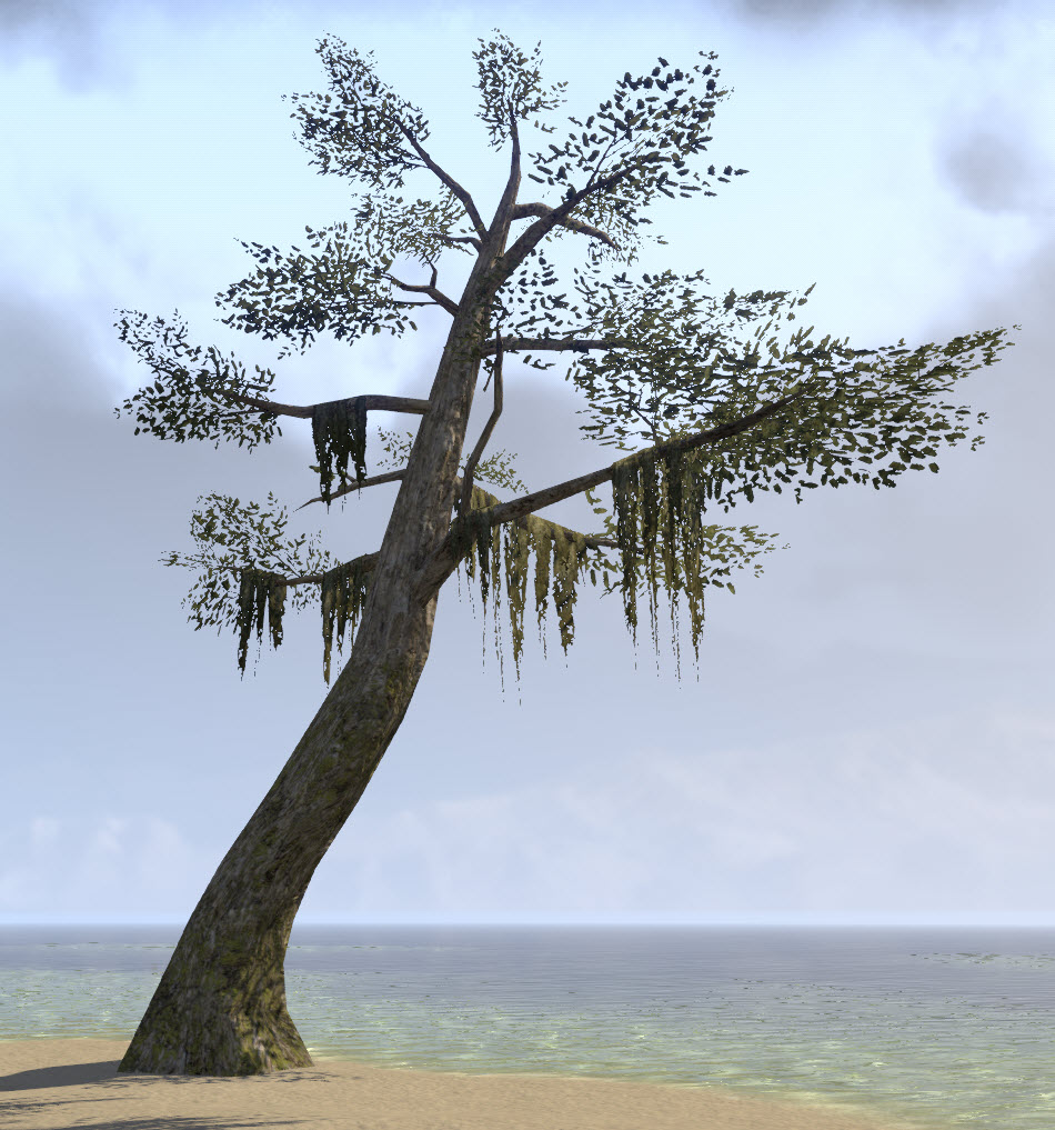 ESO Fashion | Tree, Leaning Swamp (Elder Scrolls Online)