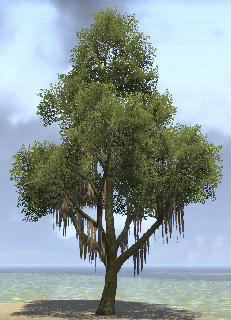 ESO Fashion | Tree, Mossy Summer (Elder Scrolls Online)