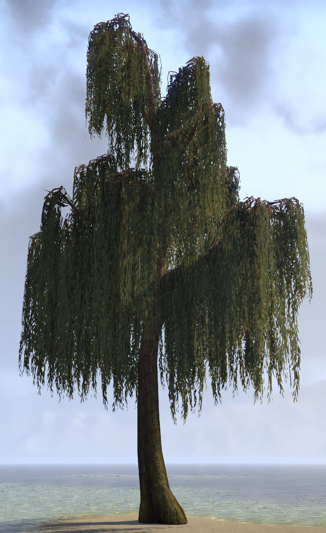 ESO Fashion | Tree, Towering Willow (Elder Scrolls Online)
