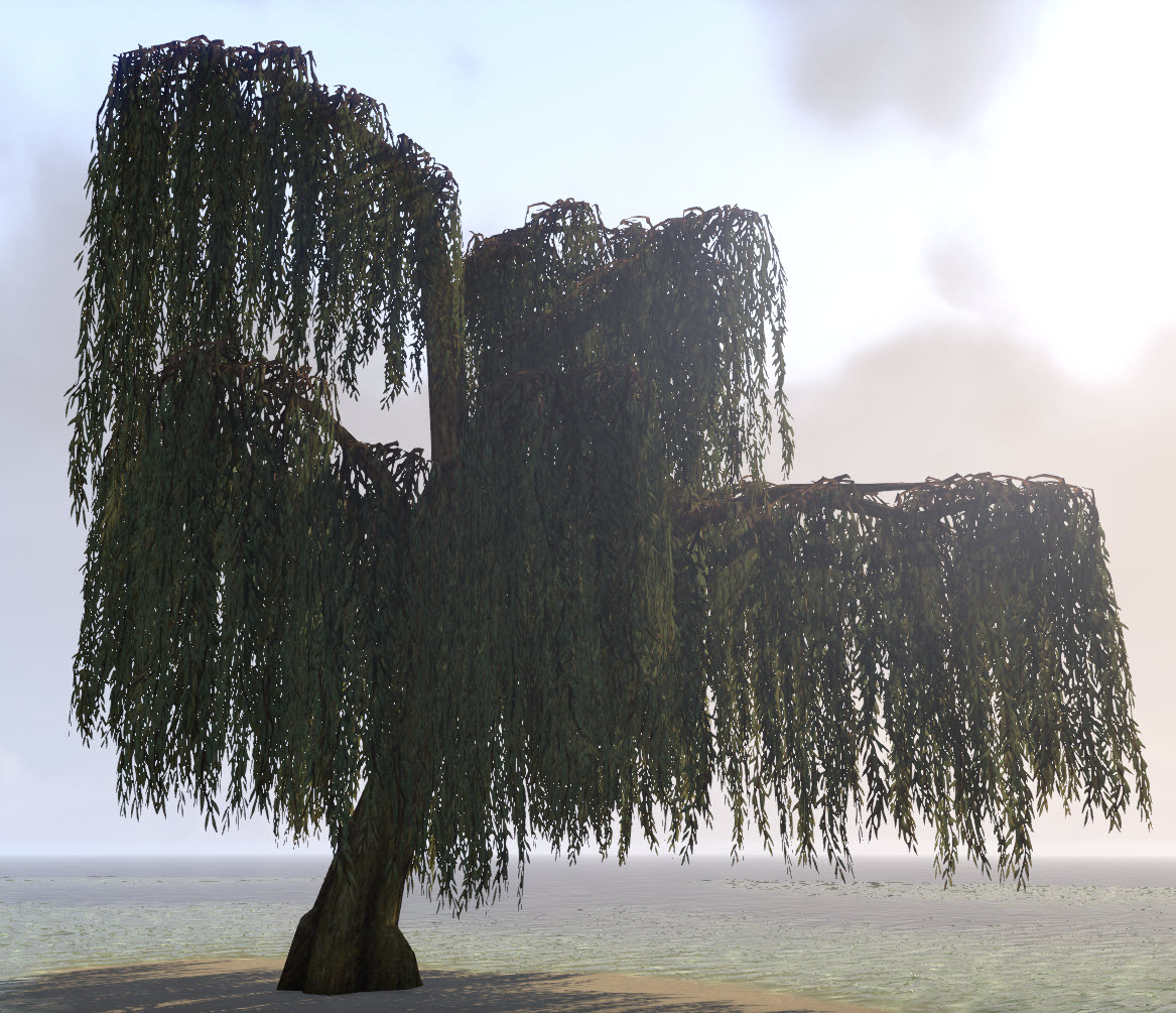 ESO Fashion | Tree, Weeping Willow (Elder Scrolls Online)
