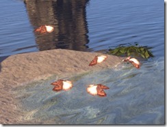 ESO Fashion | Ancestor Moth Swarm (Elder Scrolls Online)