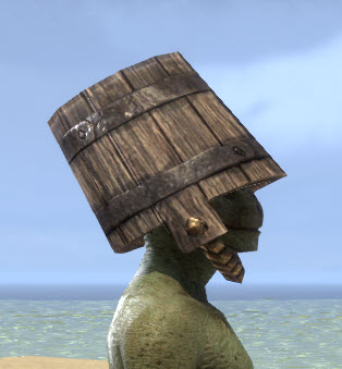ESO Fashion | Bucket (Elder Scrolls Online)