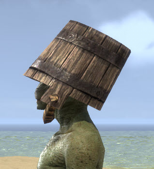 ESO Fashion | Bucket (Elder Scrolls Online)