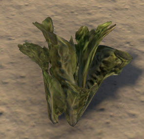 ESO Fashion | Lettuce, Display (Elder Scrolls Online)