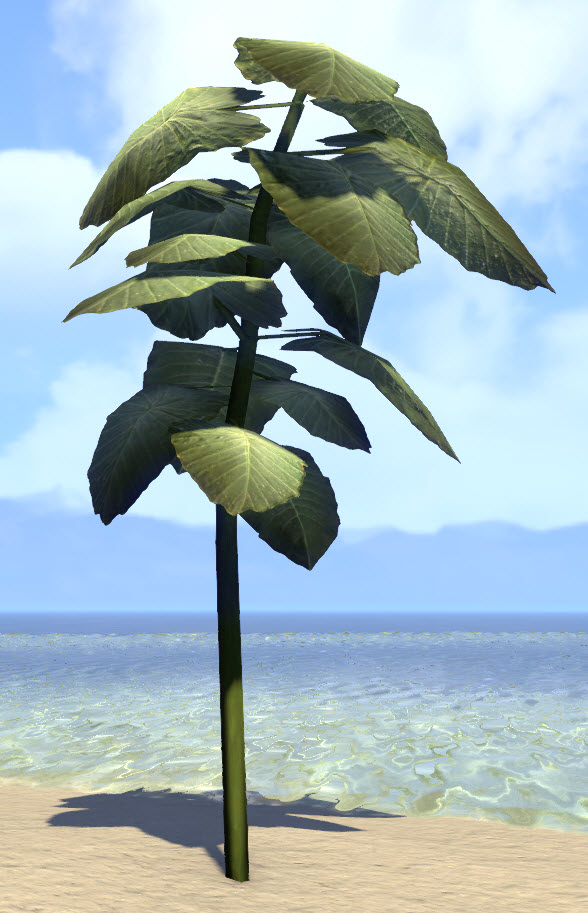 ESO Fashion | Plant, Tall Mammoth Ear (Elder Scrolls Online)
