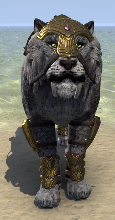 ESO Fashion | Sabre Cat (Elder Scrolls Online)