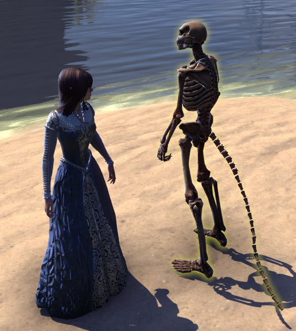 ESO Fashion | Target Skeleton, Khajiit (Elder Scrolls Online)