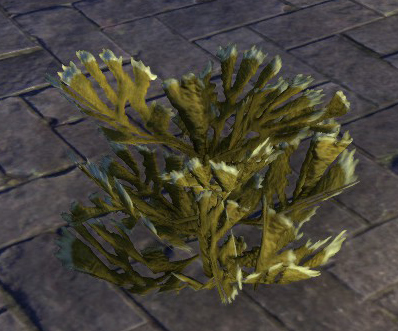 ESO Fashion | Coral, Crown (Elder Scrolls Online)