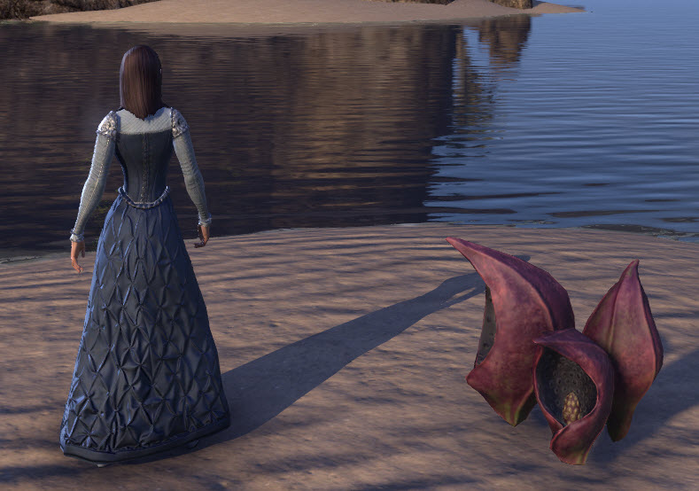 ESO Fashion | Flowers, Netch Cabbage Patch (Elder Scrolls Online)