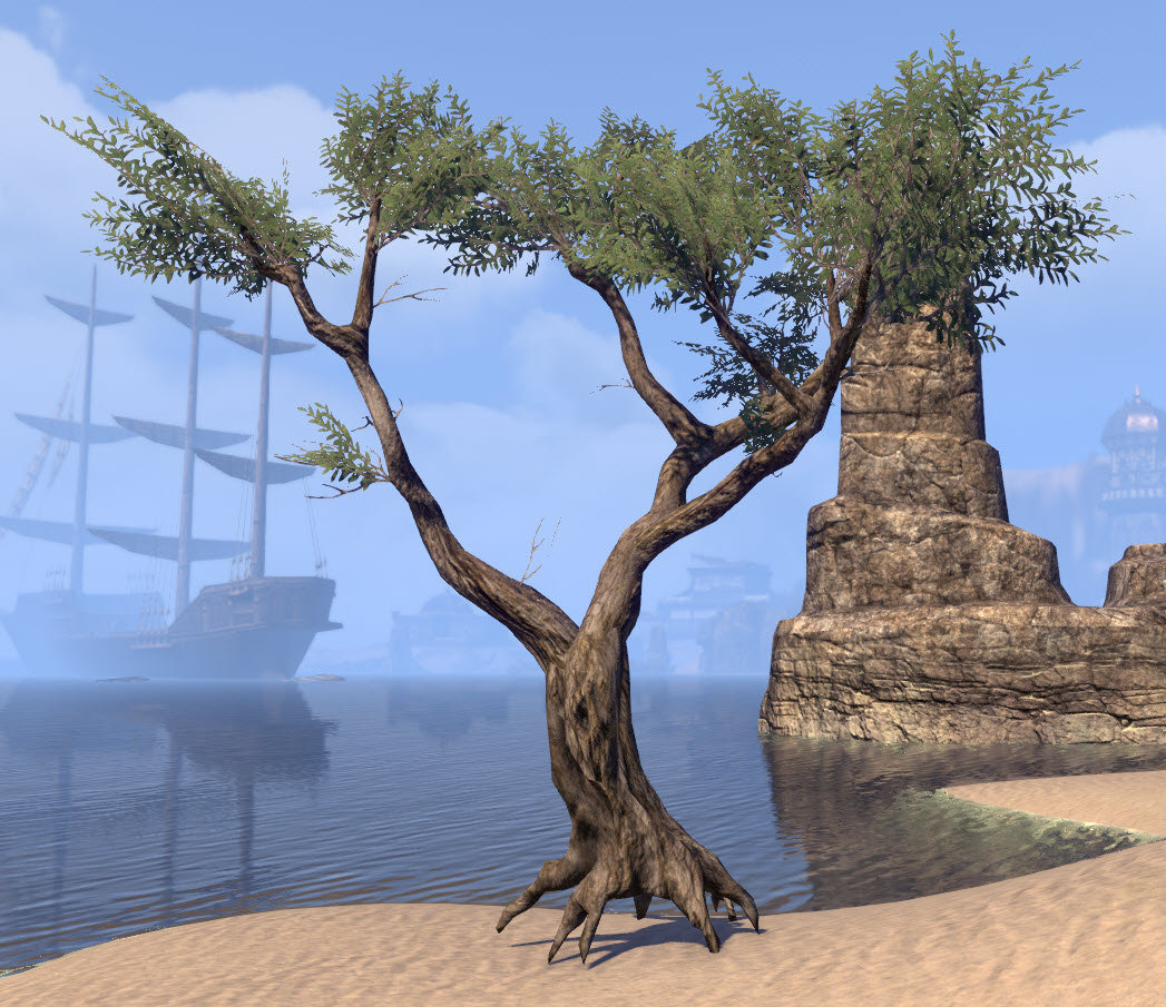 ESO Fashion | Tree, Rooted Ashland (Elder Scrolls Online)