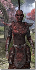 ESO Fashion | Vanguard’s Challenge (Elder Scrolls Online)